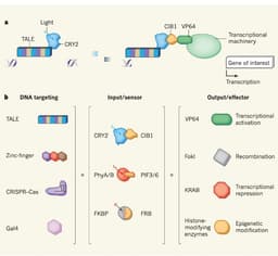 Konermann Lab - Arc Institute